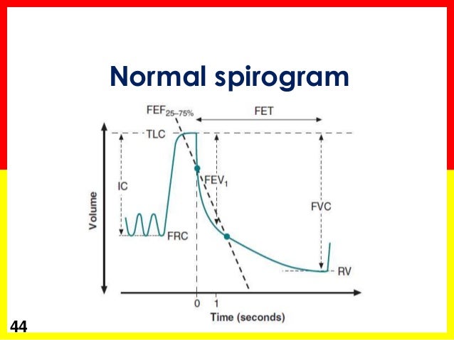 Spirometry Basics