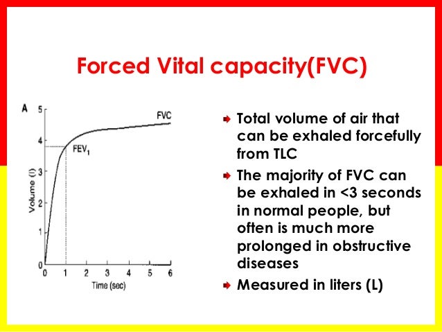 Spirometry Basics