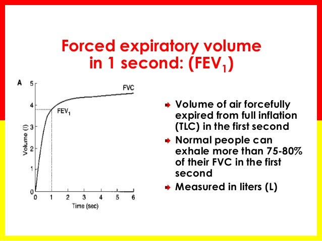 Spirometry Basics