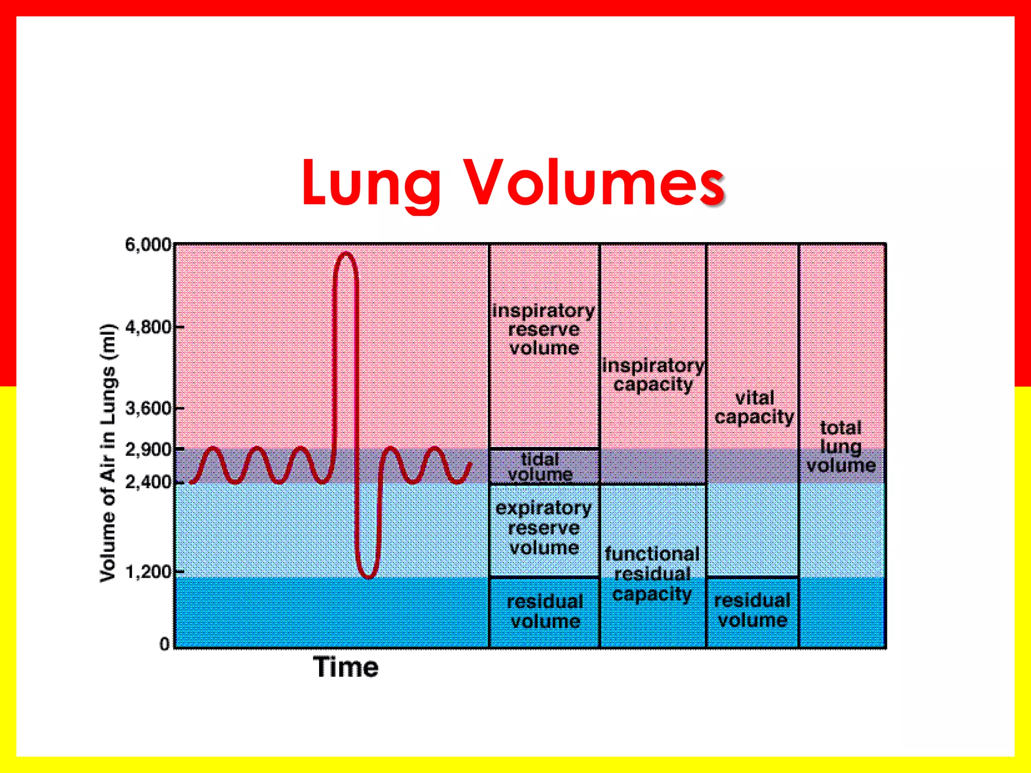 Lung volumes in COPD | PPTX