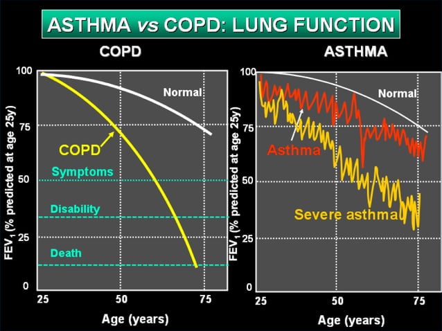 Lung volumes in COPD | PPTX