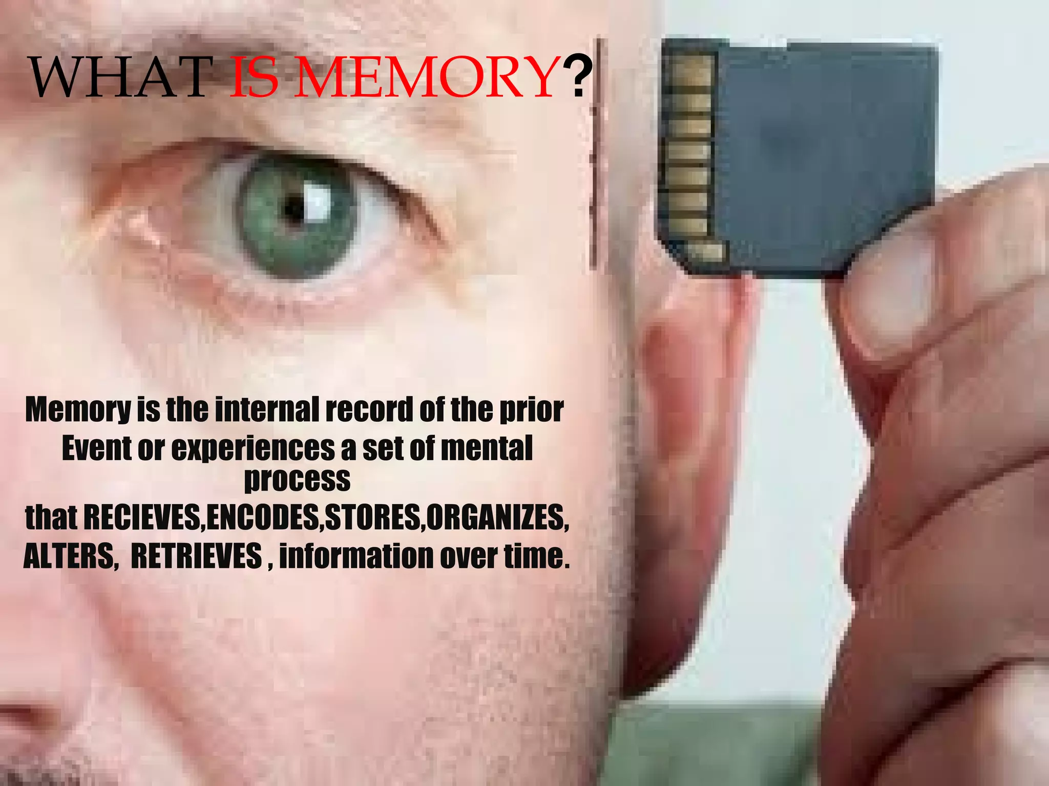 Copy of stages in memory | PPT | Data Storage and Warehousing | Computing