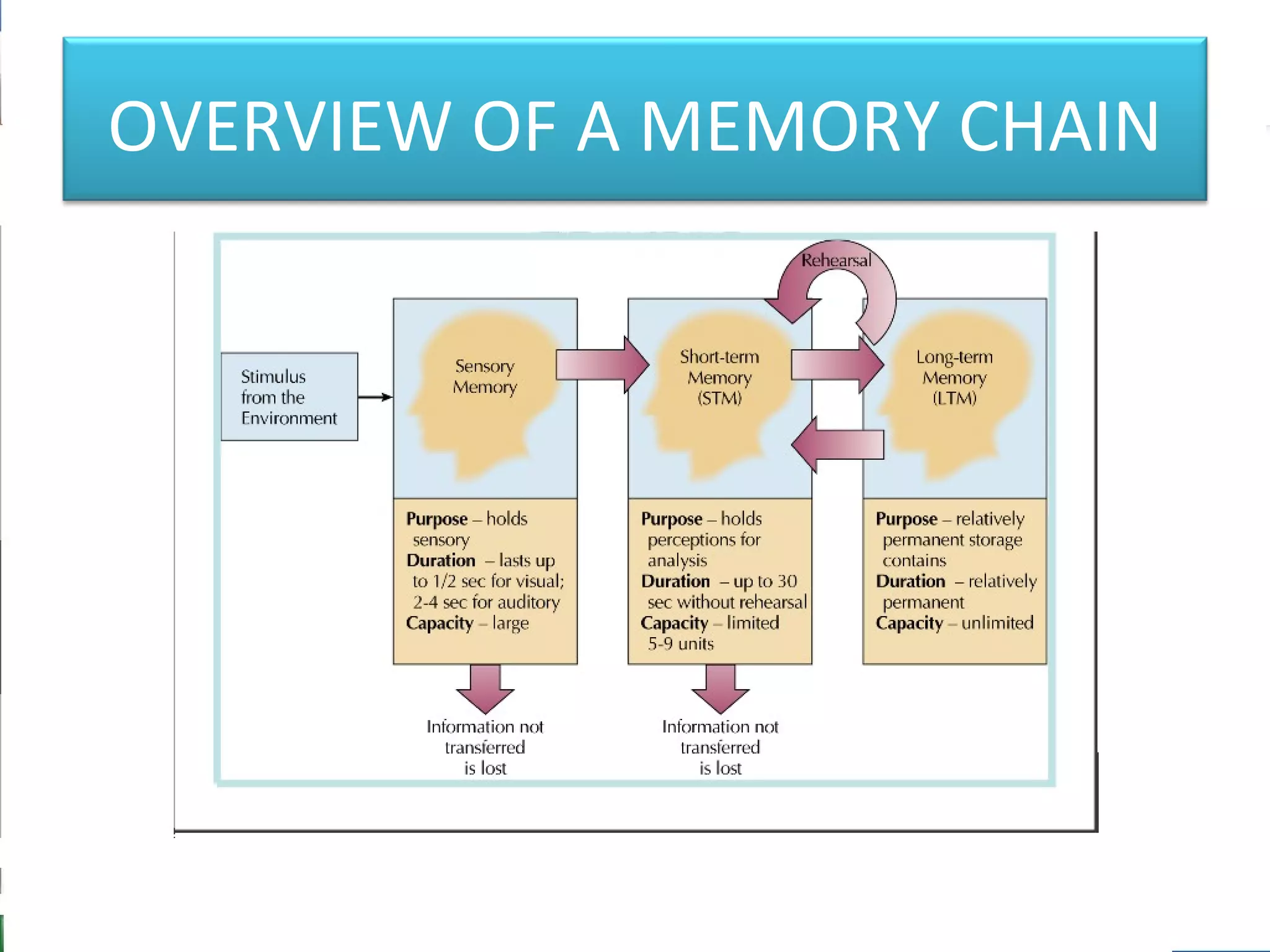 Copy of stages in memory | PPT | Data Storage and Warehousing | Computing