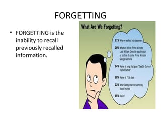 Copy of stages in memory | PPT | Data Storage and Warehousing | Computing
