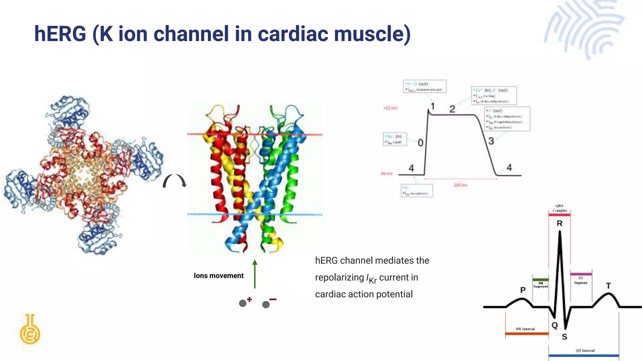 Cheminfo Stories APAC 2020 - Chemical Descriptors & Standardizers for ...