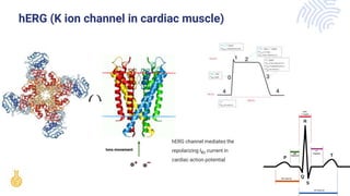 Cheminfo Stories APAC 2020 - Chemical Descriptors & Standardizers for ...