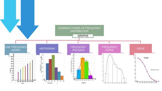 Frequency polygons and line graphs | PPTX