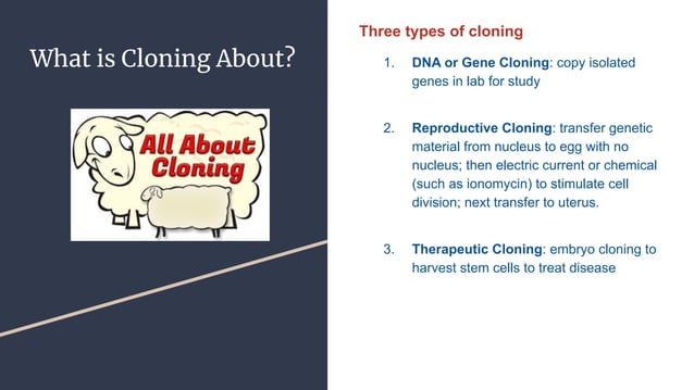 Copy of Stem Cells _ Cloning for campus class (1).pdf
