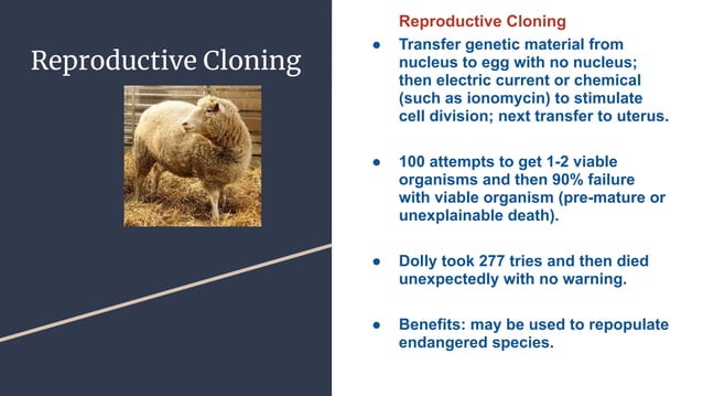 Copy of Stem Cells _ Cloning for campus class (1).pdf