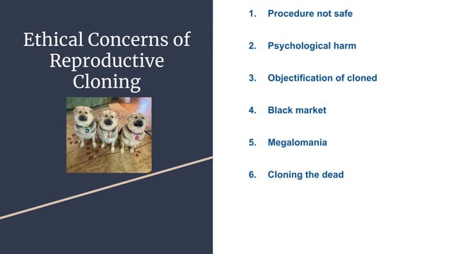 Copy of Stem Cells _ Cloning for campus class (1).pdf