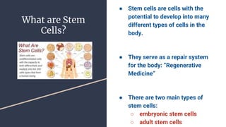 Copy of Stem Cells _ Cloning for campus class (1).pdf