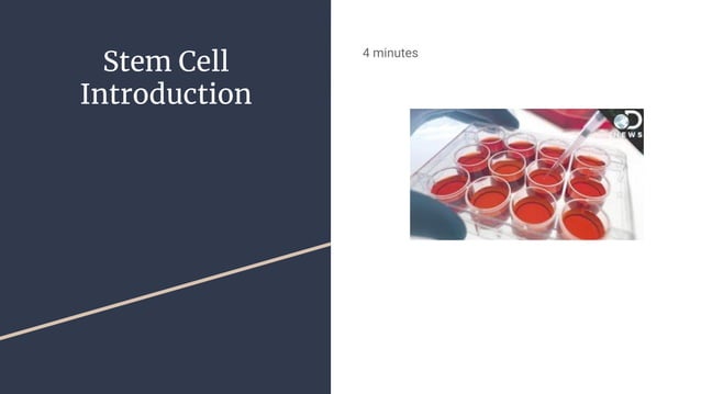 Copy of Stem Cells _ Cloning for campus class (1).pdf