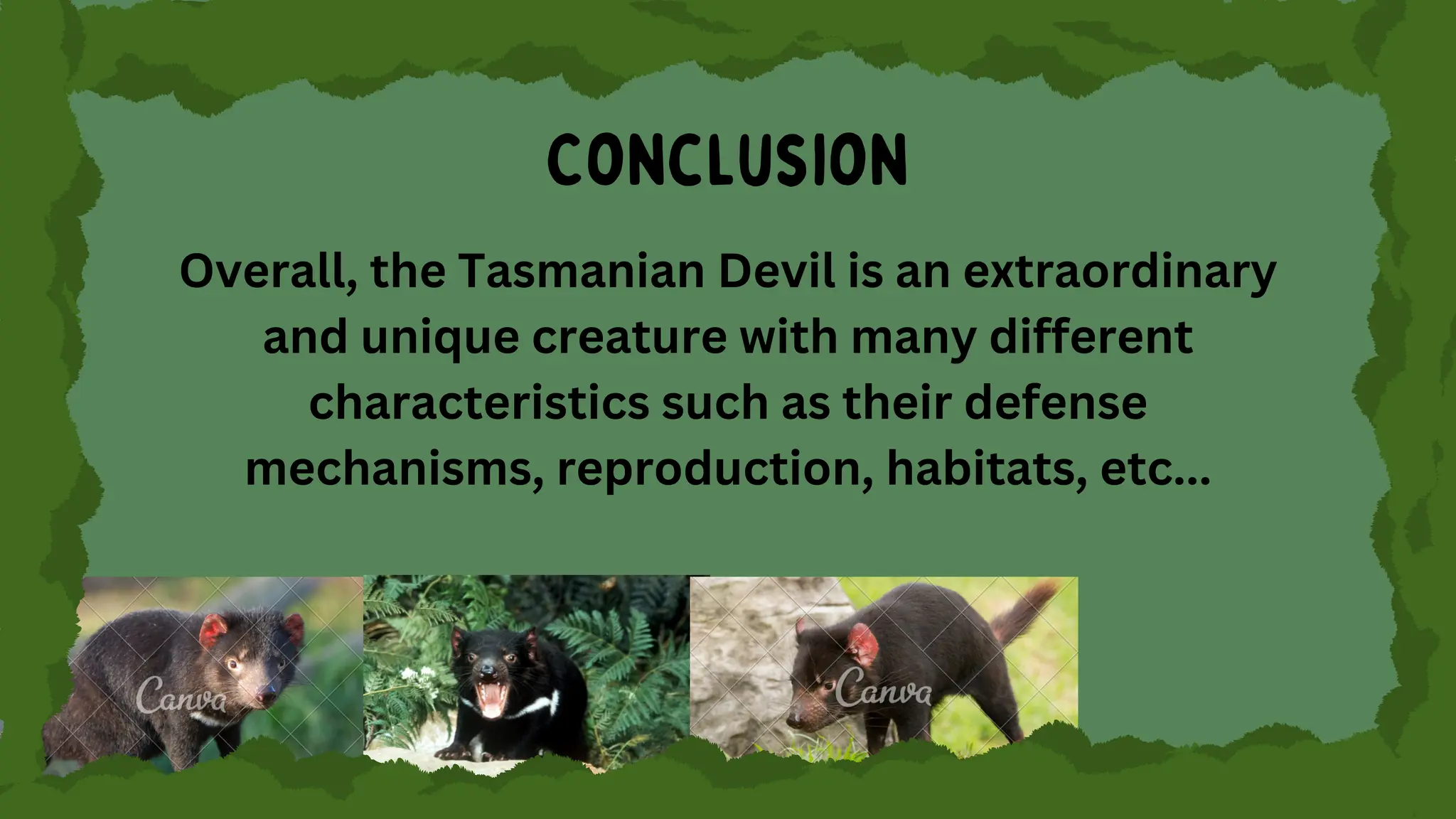 The reason of Tasmanian Devil Project.pdf