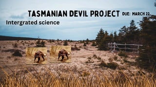 Copy of reason Tasmanian Devil Project.pdf