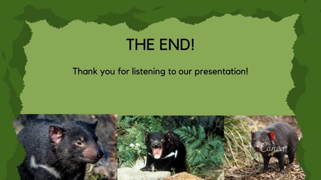 Copy of reason Tasmanian Devil Project.pdf