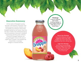 NSAC Snapple Plans Book 2016 | PPT