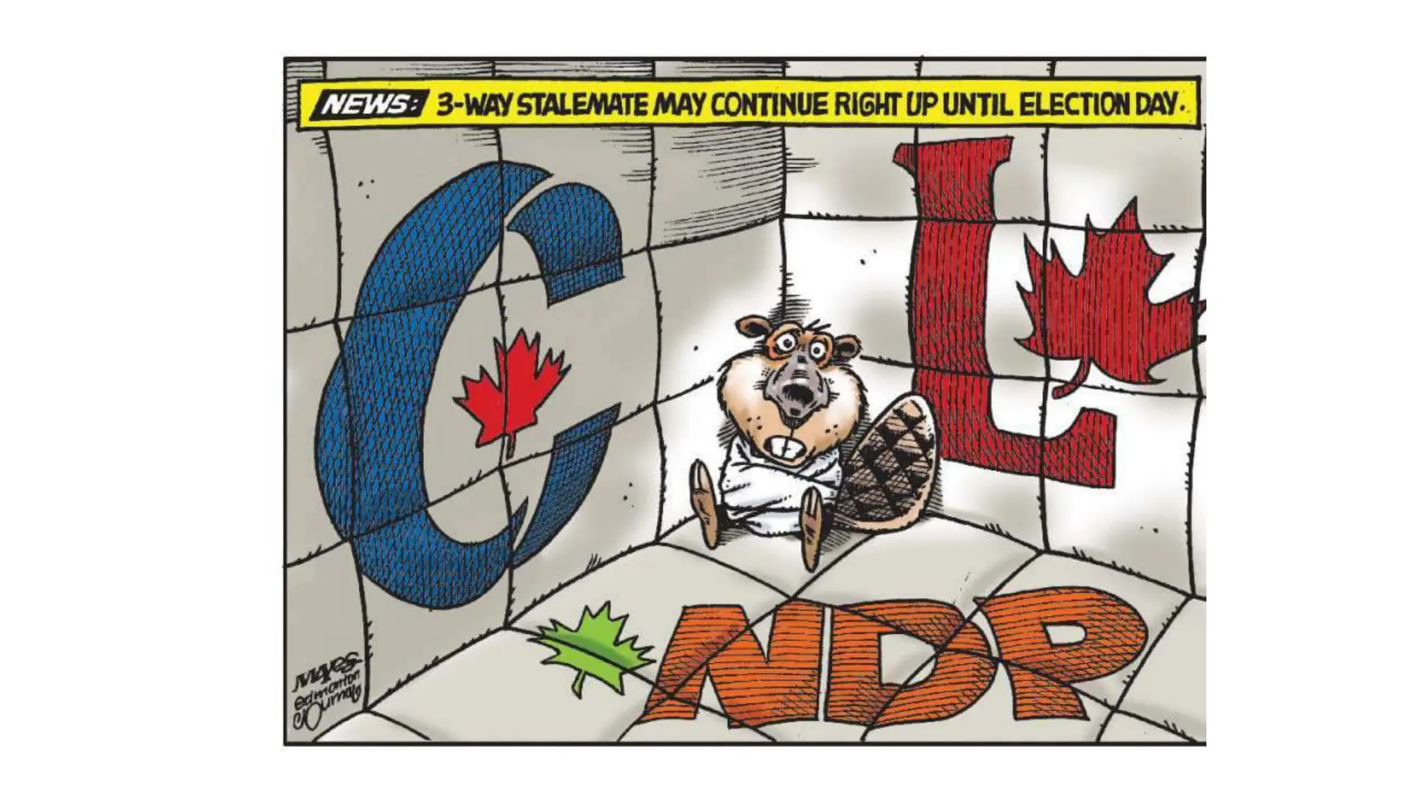 The Dozen Elements of Political Cartoons.pptx