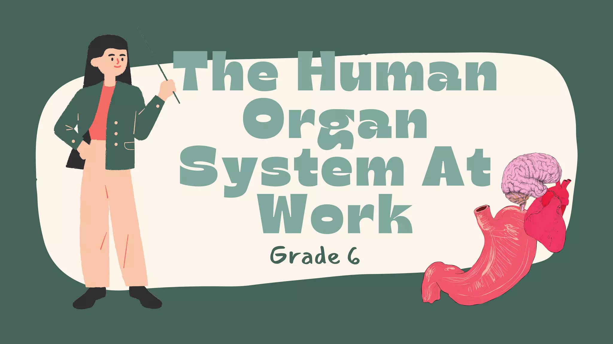 Copy of The Human Organ System At Work.pdf