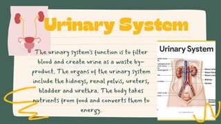 Copy of The Human Organ System At Work.pdf