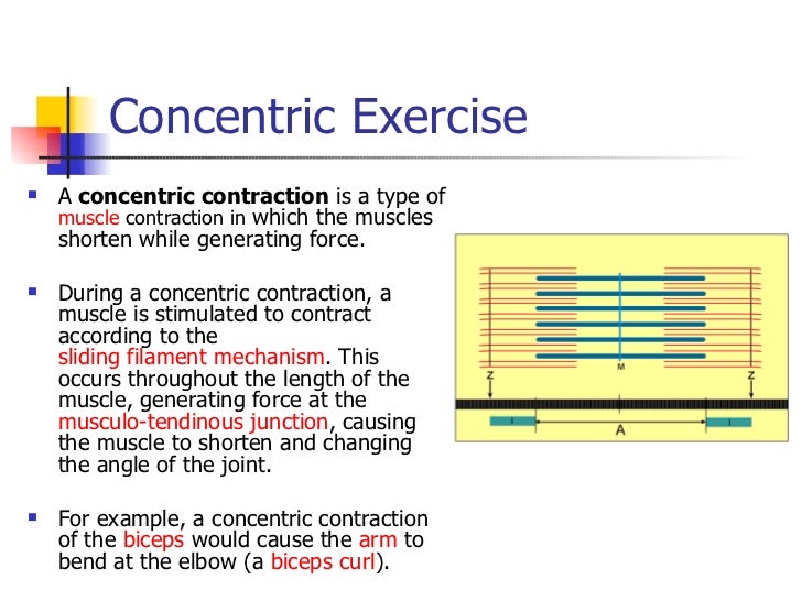 Therapeutic Exercises