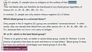 O positive (O+) or O negative (O-) blood group: what are the ...