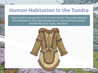 tundra-biome-powerpoint-us-s-283 (1).pptx