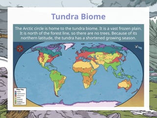 tundra-biome-powerpoint-us-s-283 (1).pptx