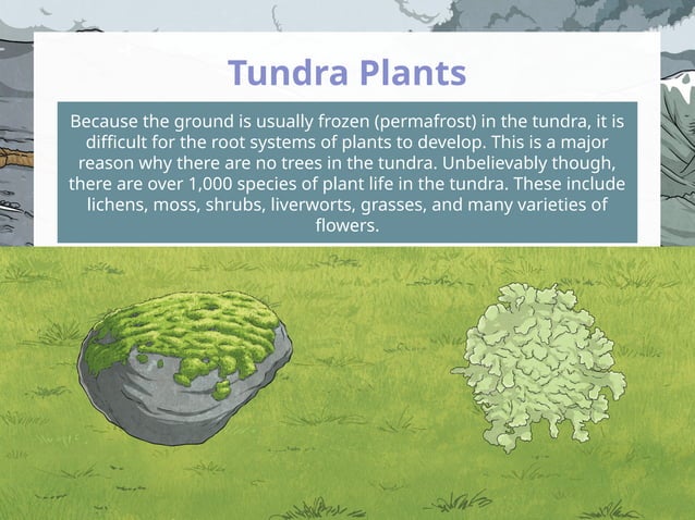 tundra-biome-powerpoint-us-s-283 (1).pptx