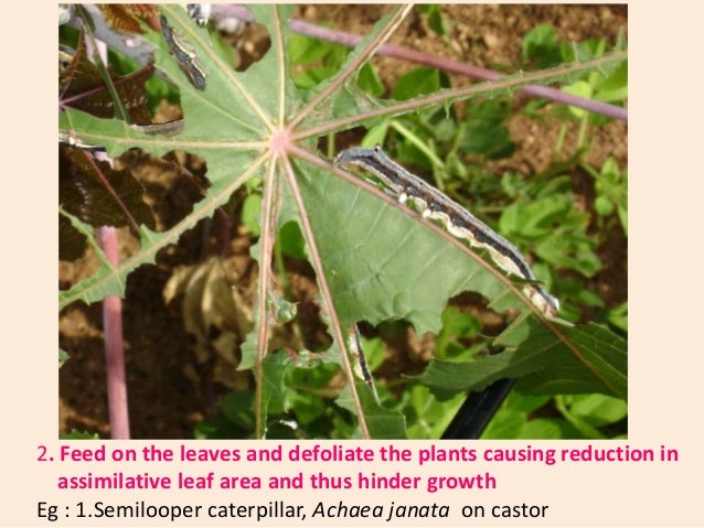 Copy of types of damages