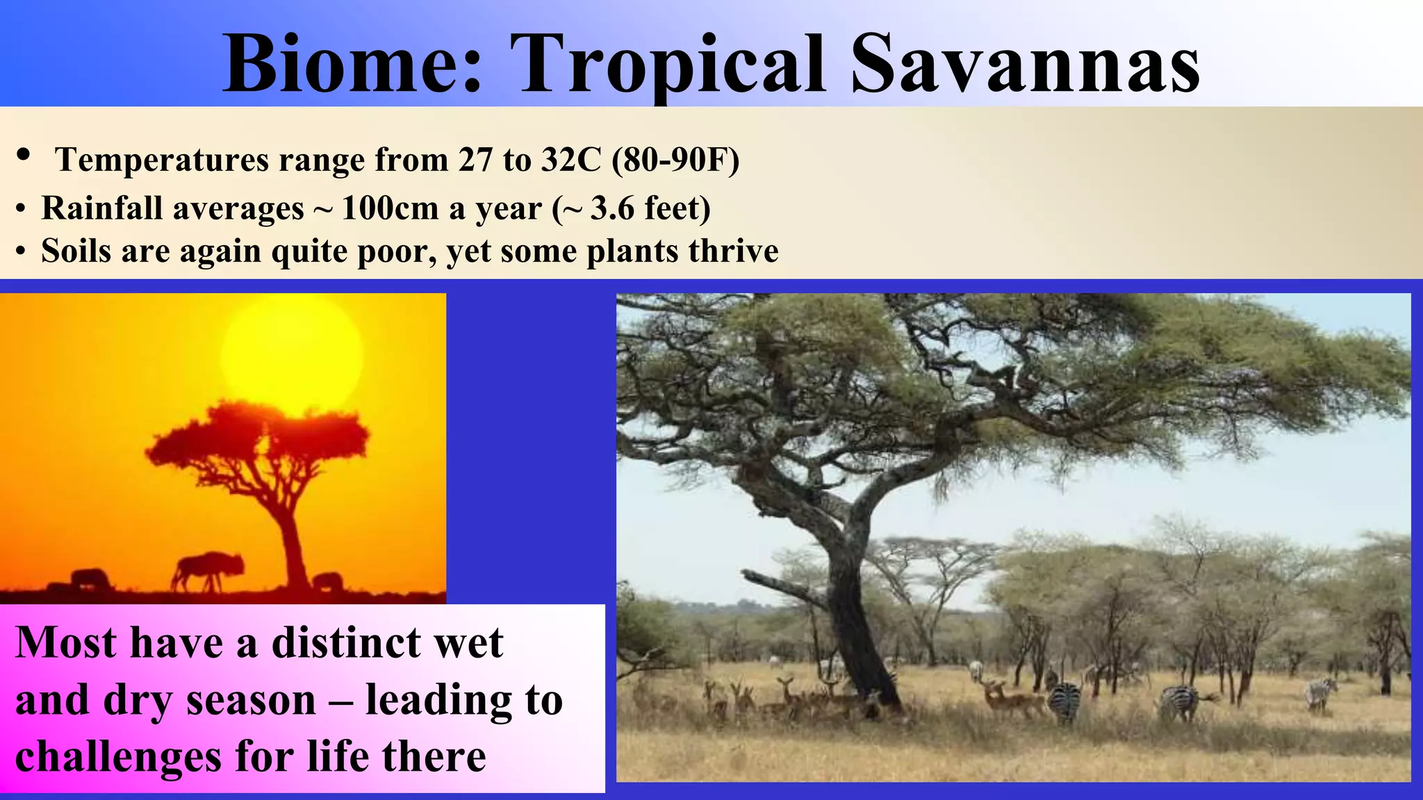 Copy of Unit 6 Notes 1_ Climate_Biomes_Energy (1).pptx