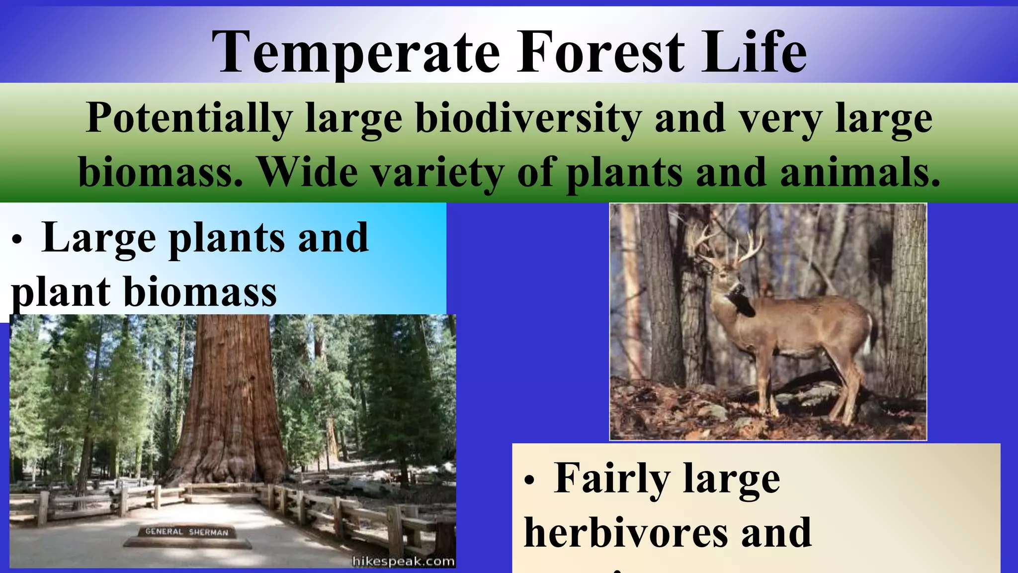 Copy of Unit 6 Notes 1_ Climate_Biomes_Energy (1).pptx