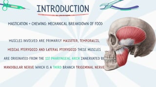 Muscles of Mastication of oral surgery in Regional Dental College 3rd ...