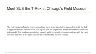Meet SUE the T-Rex at Chicago's Field Museum | PPTX