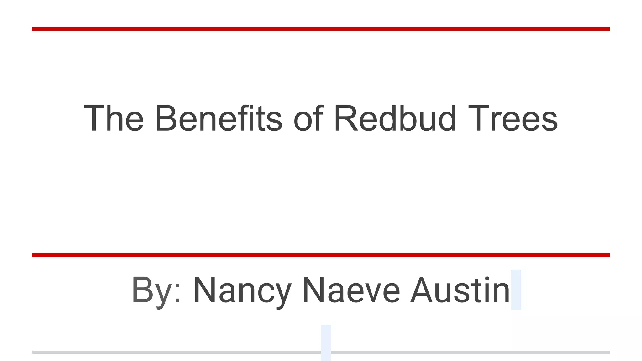 The Benefits of Redbud Trees | PPTX