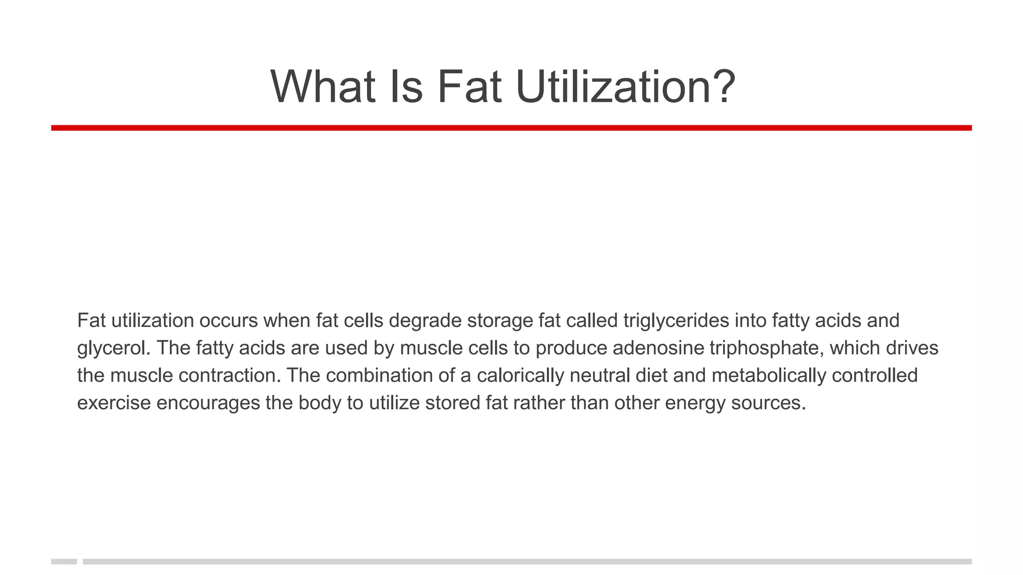What Is Fat Utilization? | PPTX