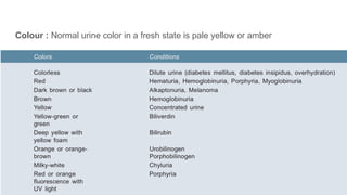 Routine urine examination including physical chemical and microscopy ...