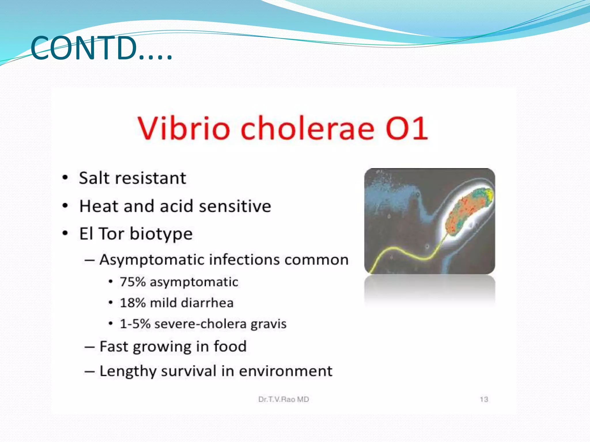 vibrio cholera and all about it | PPTX | Digestive Disorders | Diseases ...