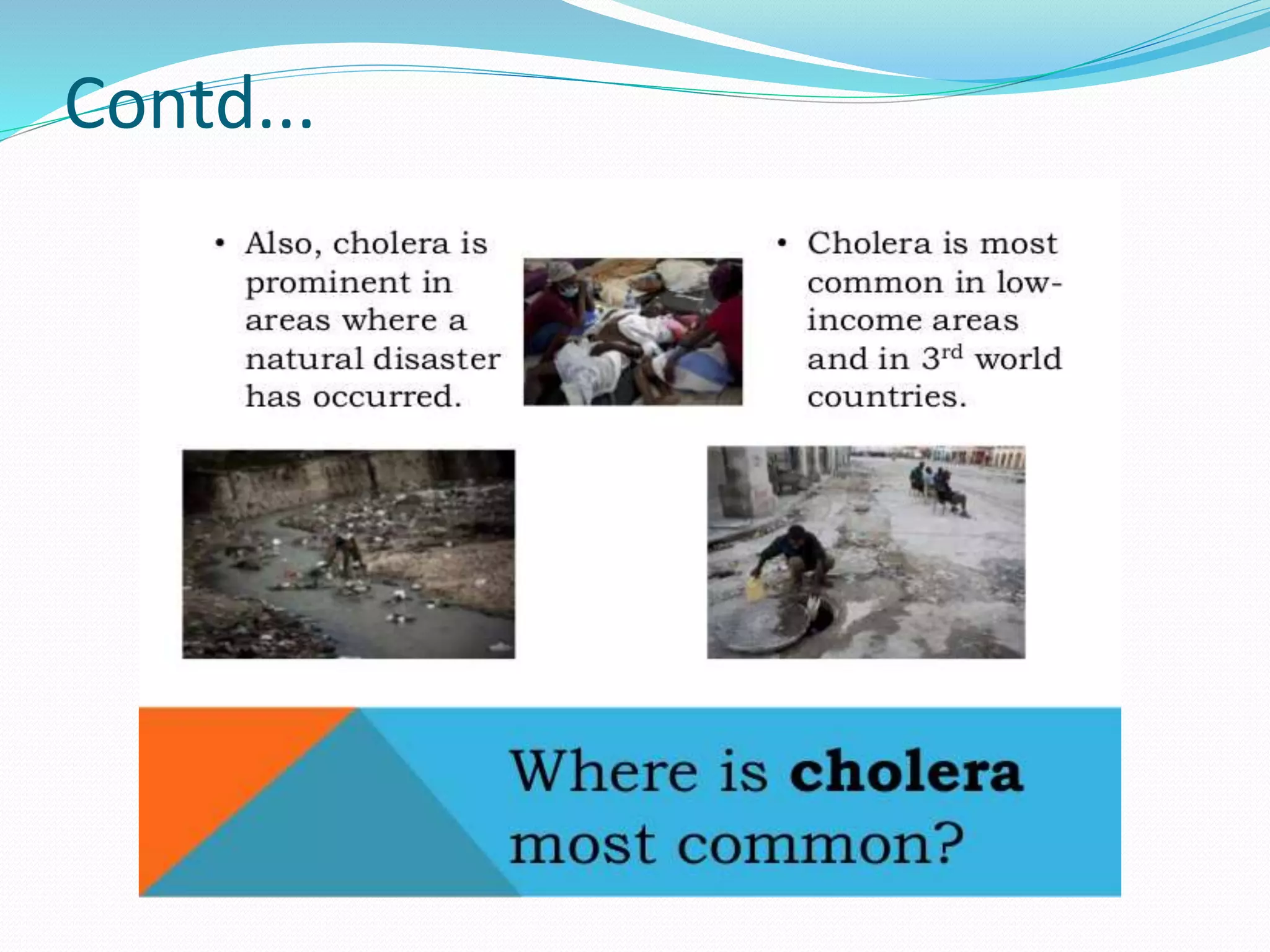 vibrio cholera and all about it | PPTX | Digestive Disorders | Diseases ...