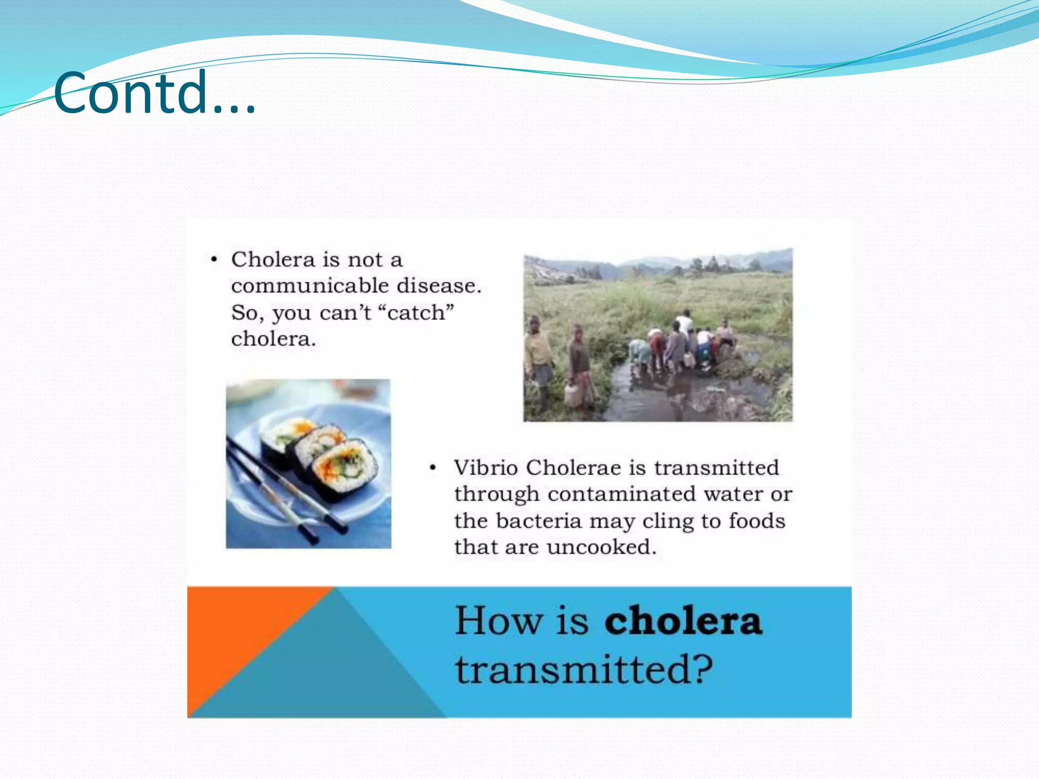 vibrio cholera and all about it | PPTX | Digestive Disorders | Diseases ...
