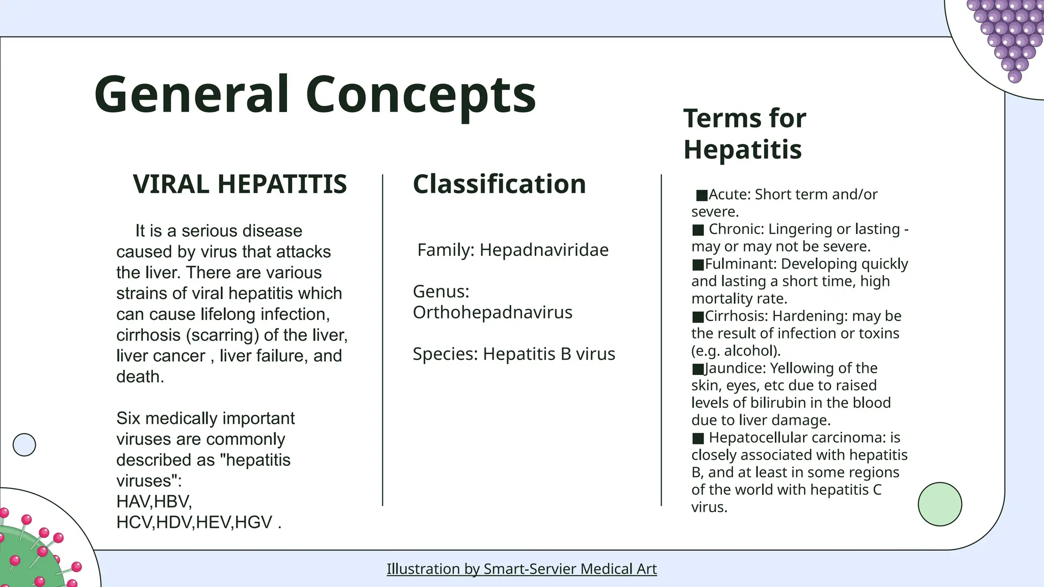 Copy of Viral Hepatitis Complications by Slidesgo.pptx