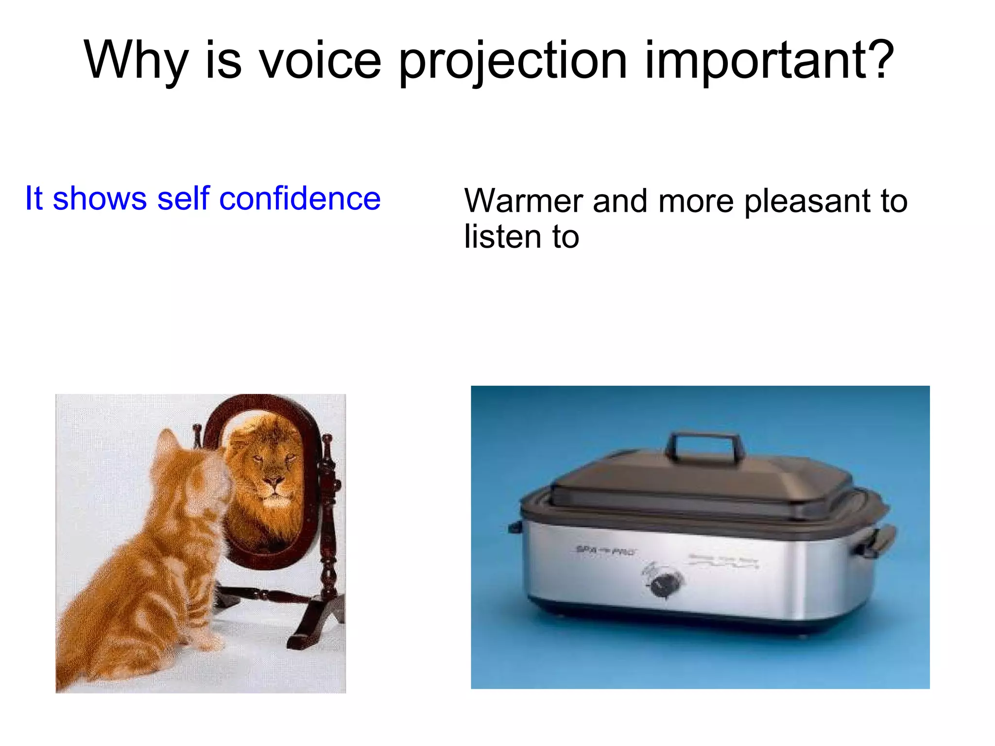 Copy Of Voice Projection | PPT