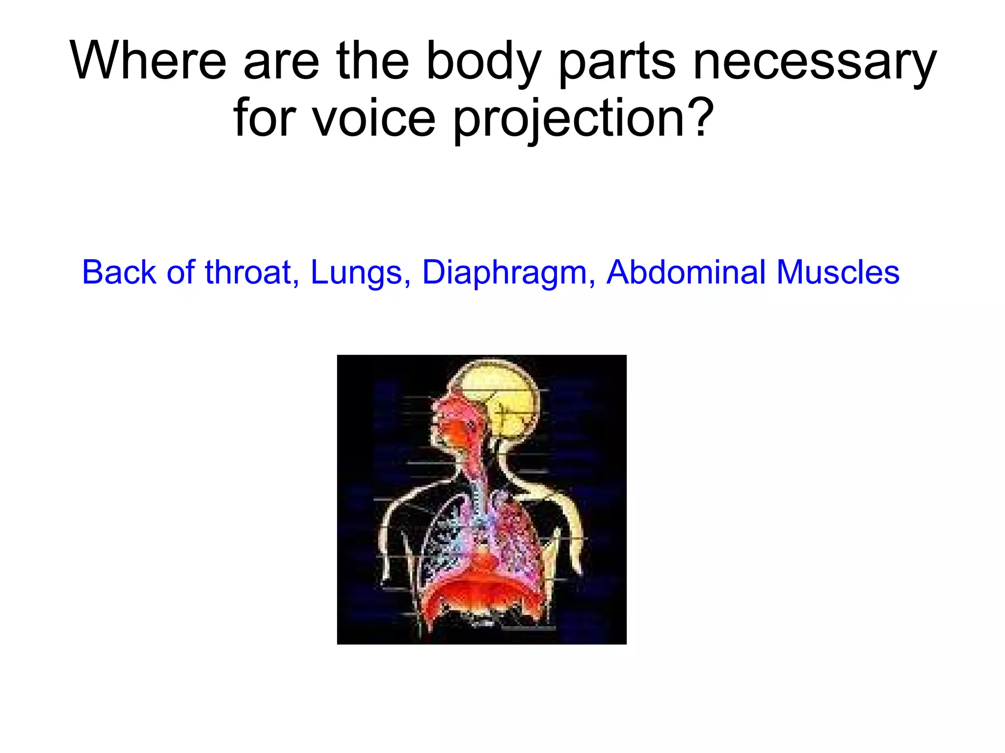 Copy Of Voice Projection | PPT