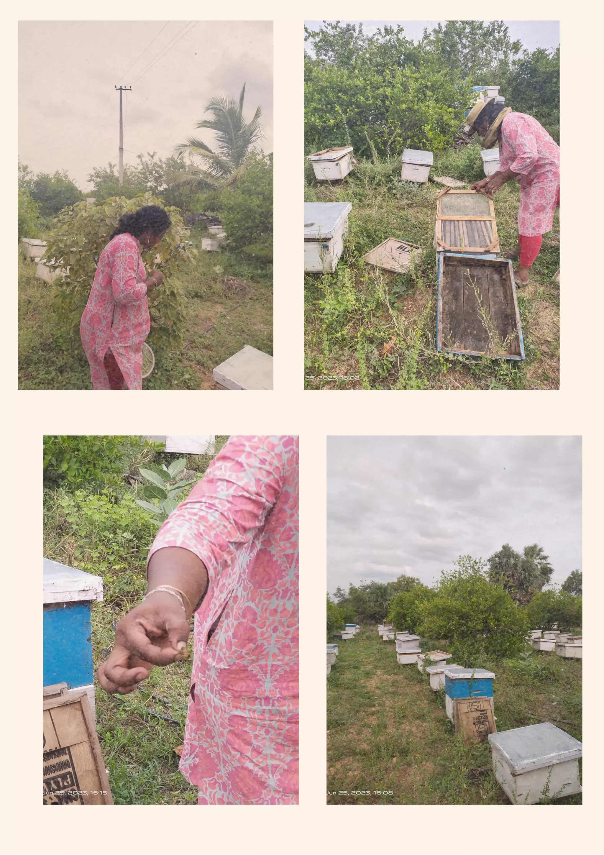 WellBee Project Proposal | PDF