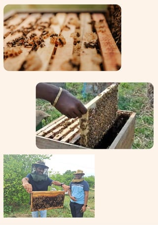 WellBee Project Proposal | PDF