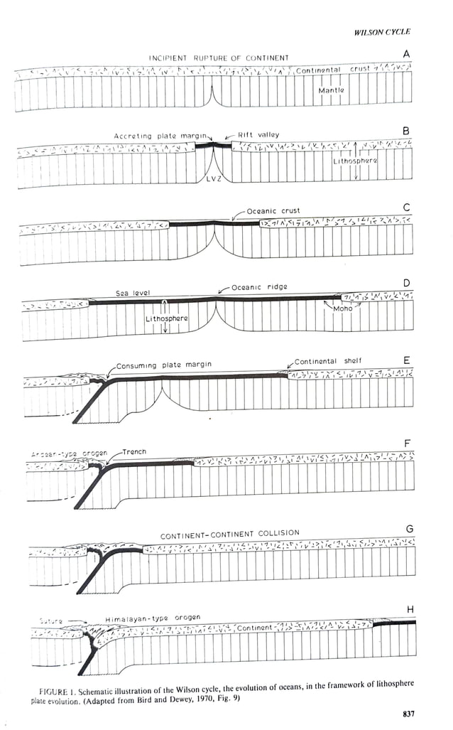 Wilson cycle | PDF