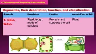 Exploring the Microscopic World of Animal and Plant Cells | PPTX