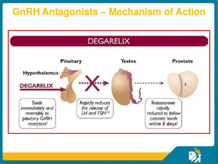 GnRH Receptor Antagonists Dagerelix