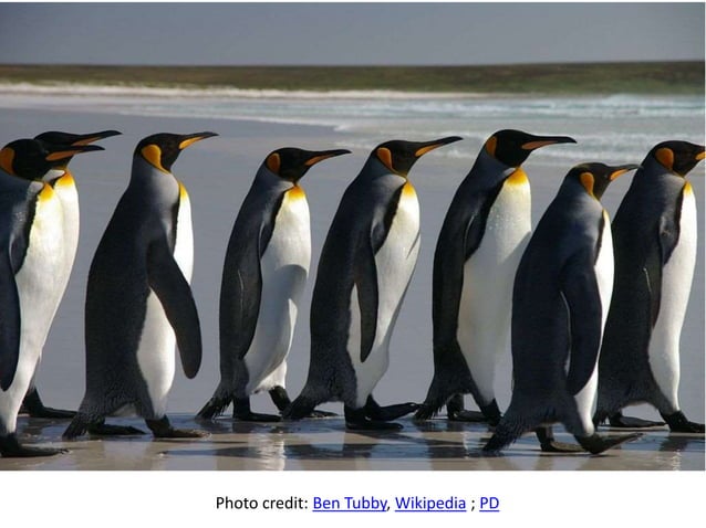 Example OER training | PPTX