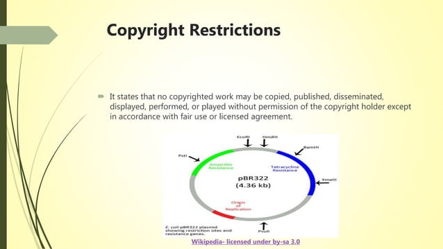 Copy right and creative common ppt | PPTX