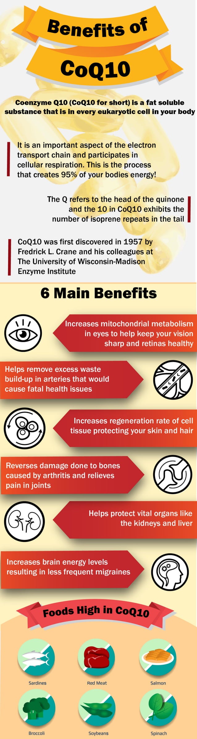Benefits of CoQ10 Infographic | PDF